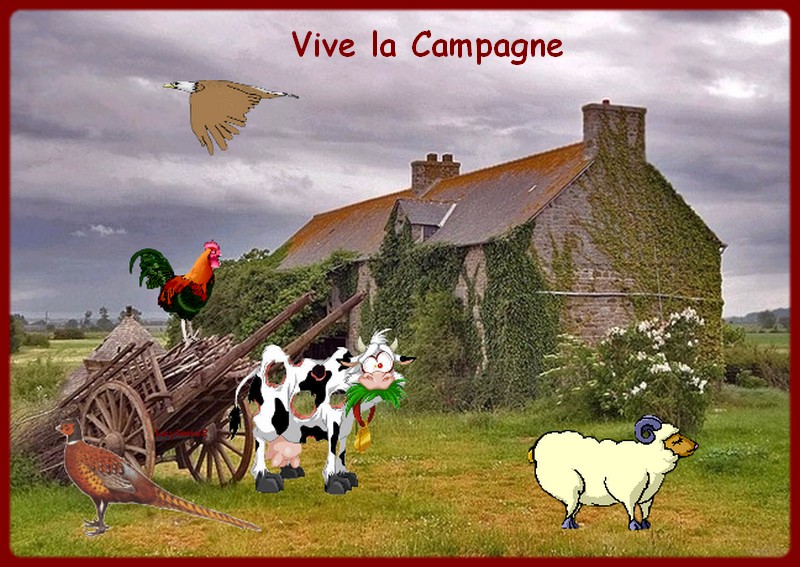 belles images - Page 3